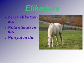 Zaldia / Irati eta Aitor | PPT