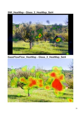 Eye Tracking Results Comparison SMI RED 250 vs.GazeFlow WebCam ...