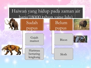 Zaman air batu | PPT