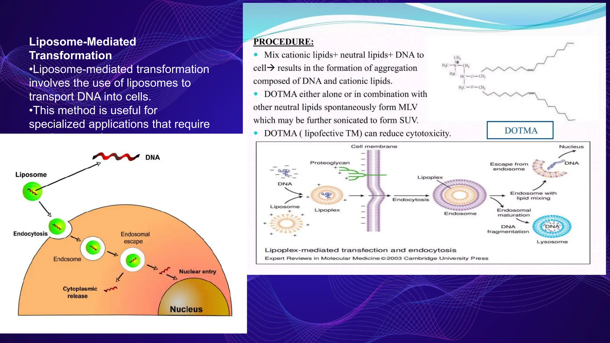 Genetic Transformation of Bacteria: Methods and Applications in Biological Research and ...