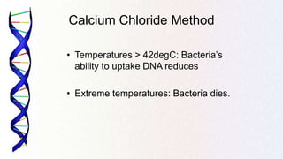Genetic Transformation of Bacteria: Methods and Applications in ...
