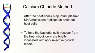 Genetic Transformation of Bacteria: Methods and Applications in ...