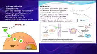 Genetic Transformation of Bacteria: Methods and Applications in ...