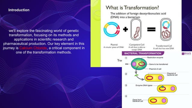 Genetic Transformation of Bacteria: Methods and Applications in ...