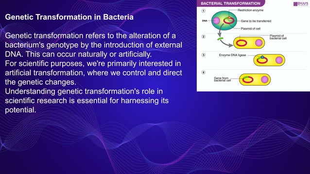 Genetic Transformation of Bacteria: Methods and Applications in ...