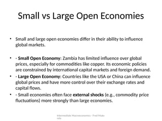 Intermediate Macroeconomics Zambia_Open_Economy_Macroeconomics.pptx