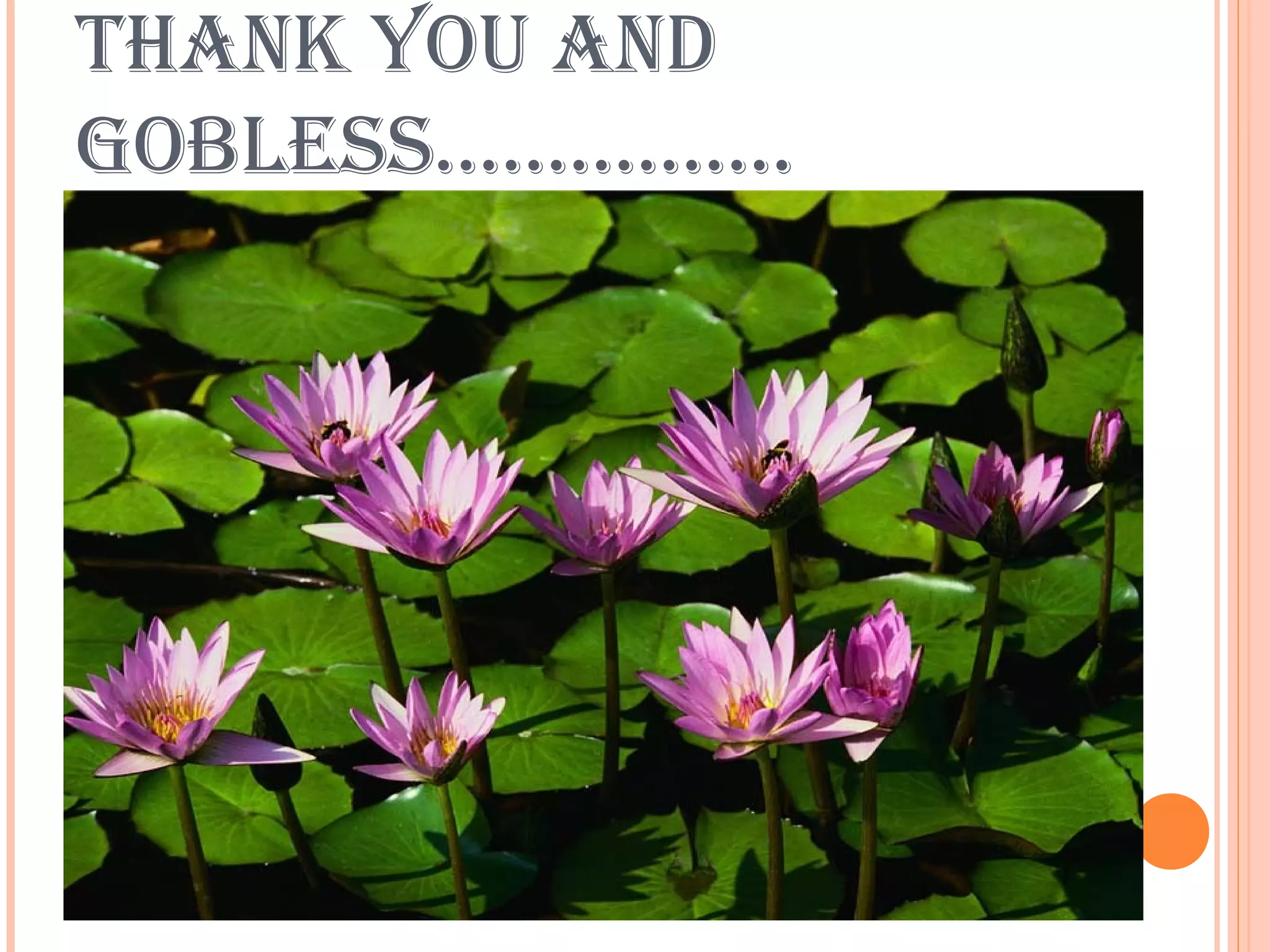 Zamboanga state college of marines sciences and technology jiemar | PPT