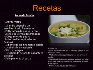 Sambo beneficios para el cuerpo | PPTX