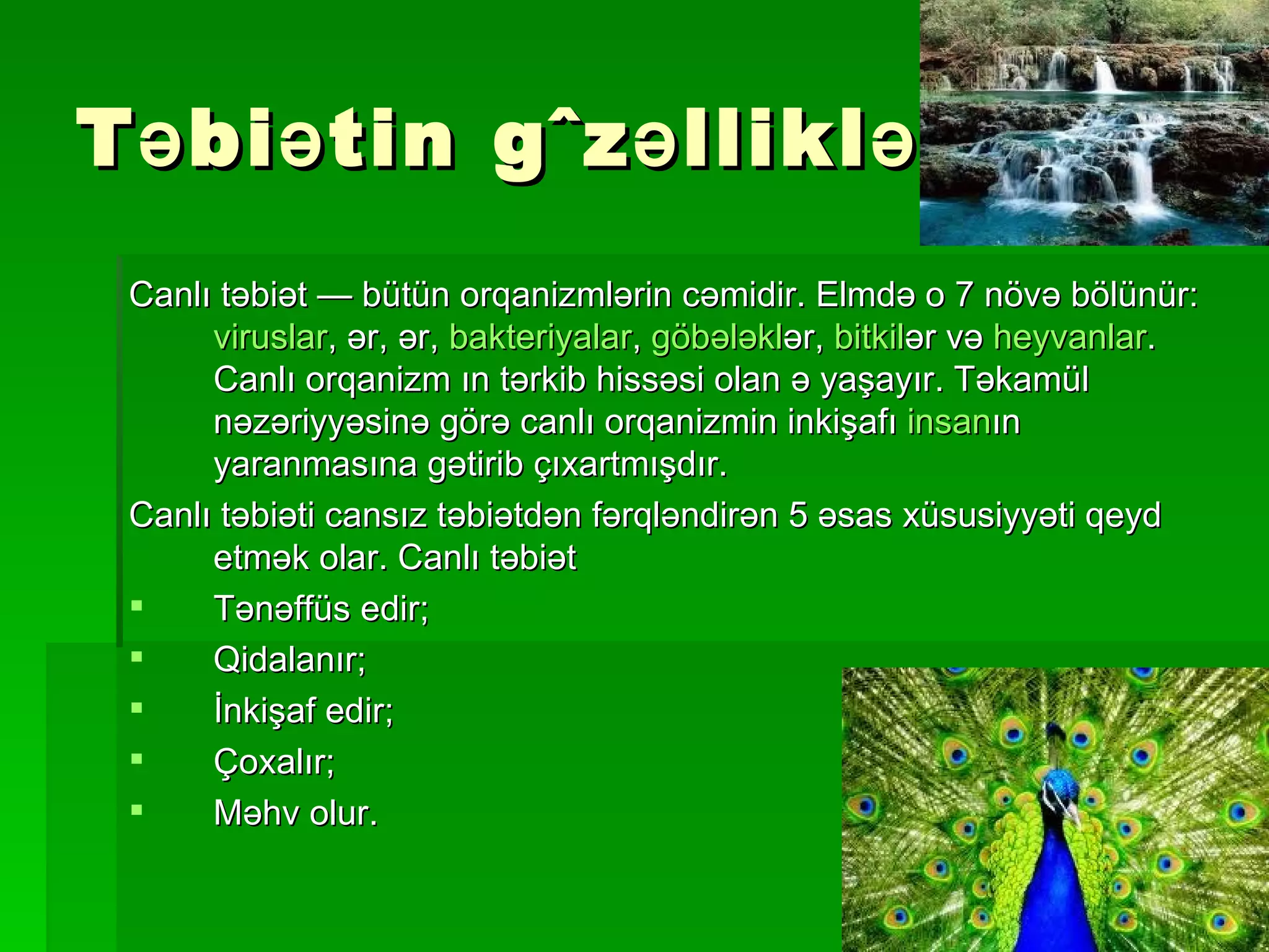 Zamiq tebiet 8a1 | PPT