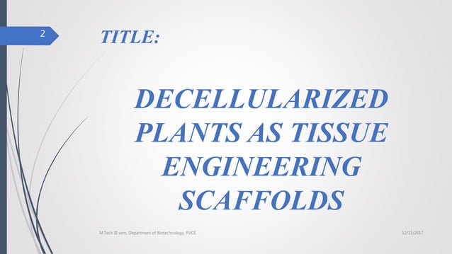 Decellularized Plants as Tissue Engineering Scaffolds | PPT