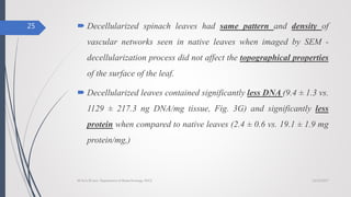 Decellularized Plants as Tissue Engineering Scaffolds | PPT
