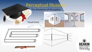 Perceptual Organization Presentation | PPTX