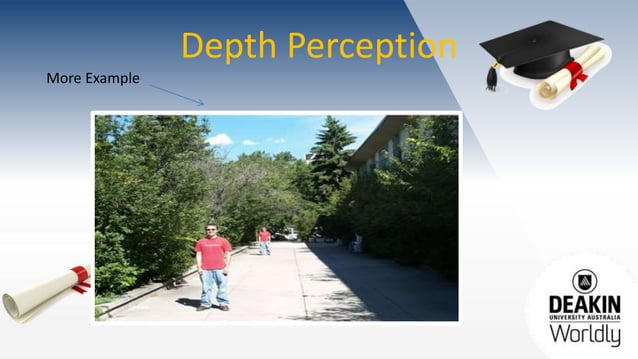 Perceptual Organization Presentation | PPTX | Physics | Science
