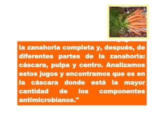 Zanahoria maravilla vegetal | PPT