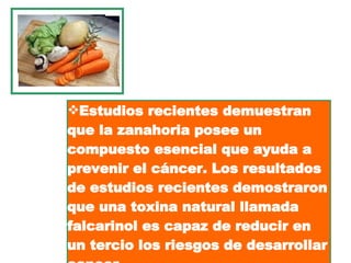 Zanahoria maravilla vegetal | PPT