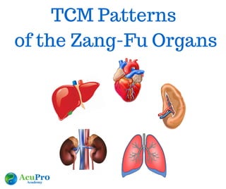 Zang-Fu-Oragns-TCM-Patterns (Important).pdf