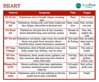Zang-Fu-Oragns-TCM-Patterns (Important).pdf