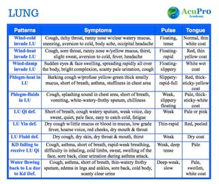 Zang-Fu-Oragns-TCM-Patterns (Important).pdf