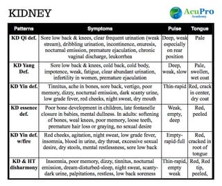 Zang-Fu-Oragns-TCM-Patterns (Important).pdf