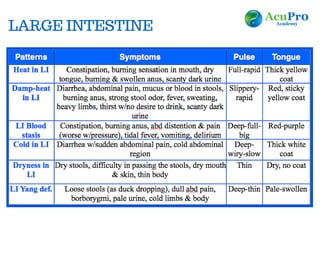 Zang-Fu-Oragns-TCM-Patterns (Important).pdf