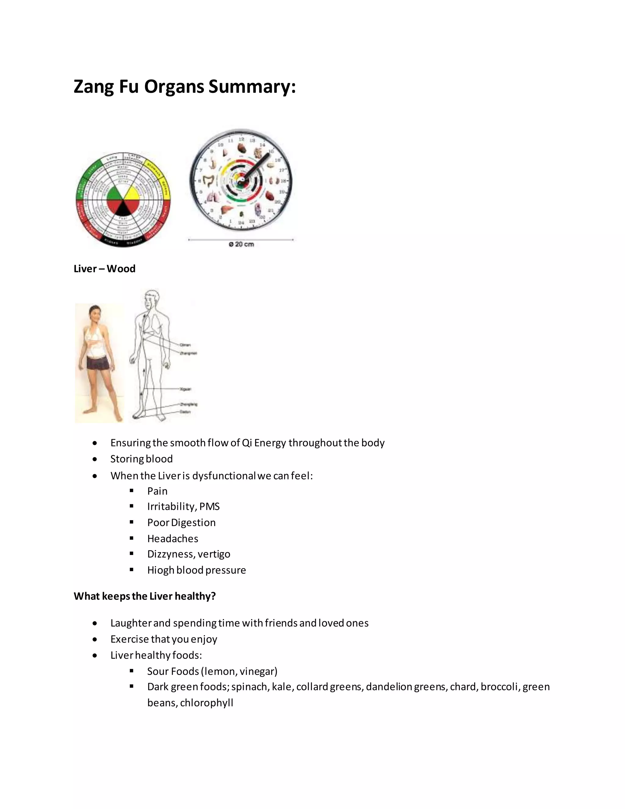 Zang fu organs summary | DOCX
