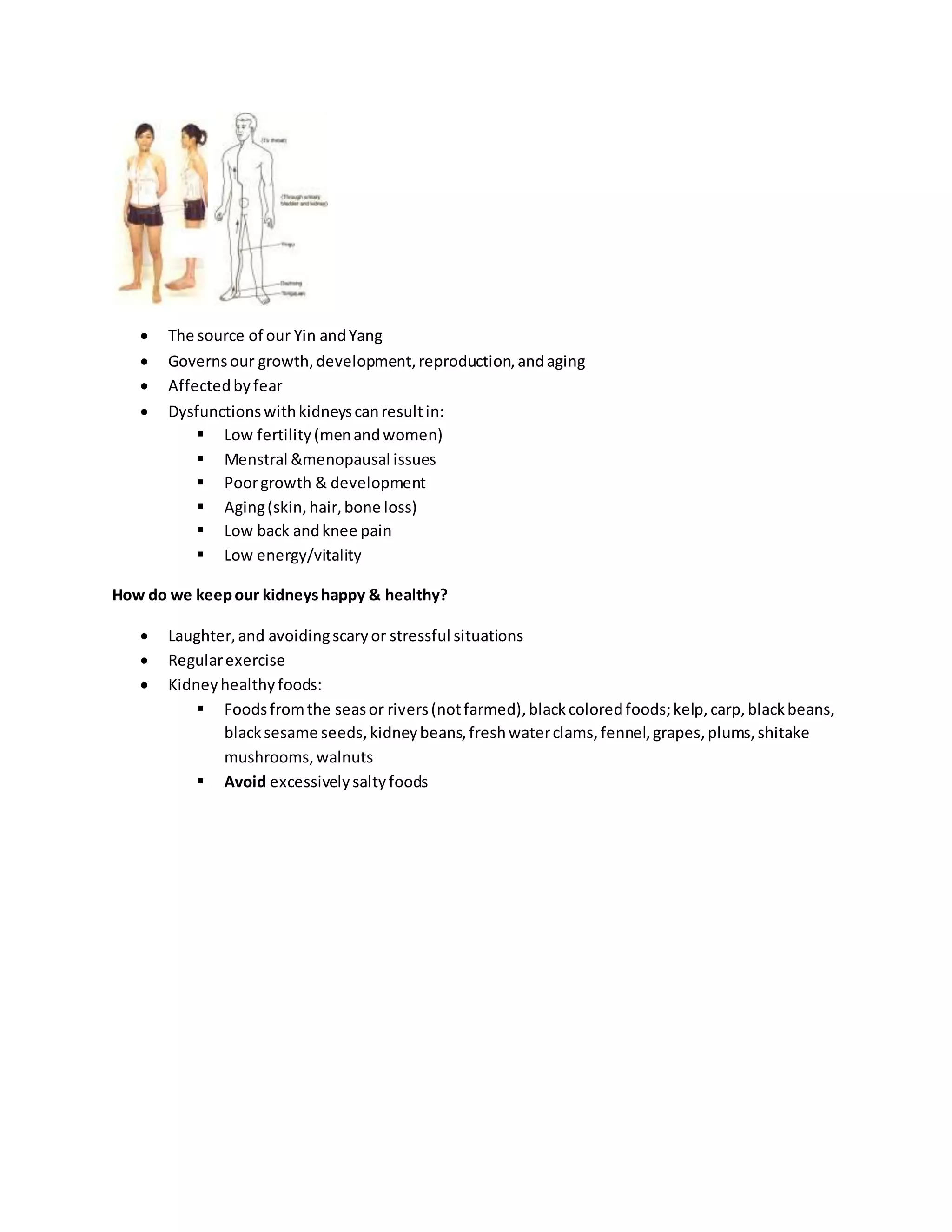 Zang fu organs summary | DOCX