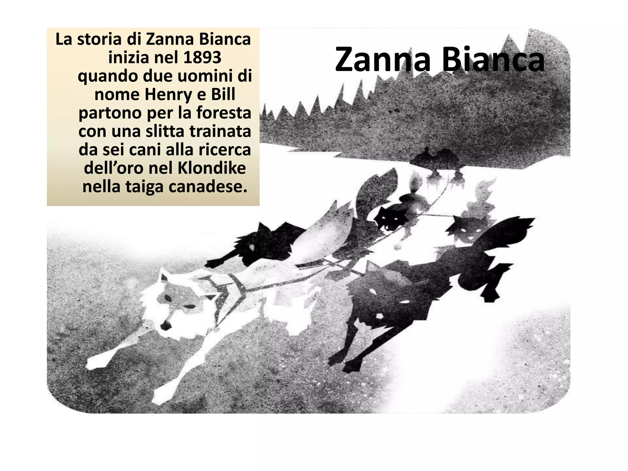 Zanna bianca | PPT