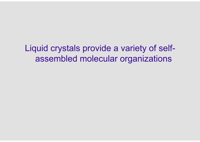 Zannoni Liquid Crystal Modeling BO_ECME8_Jun05e .pdf