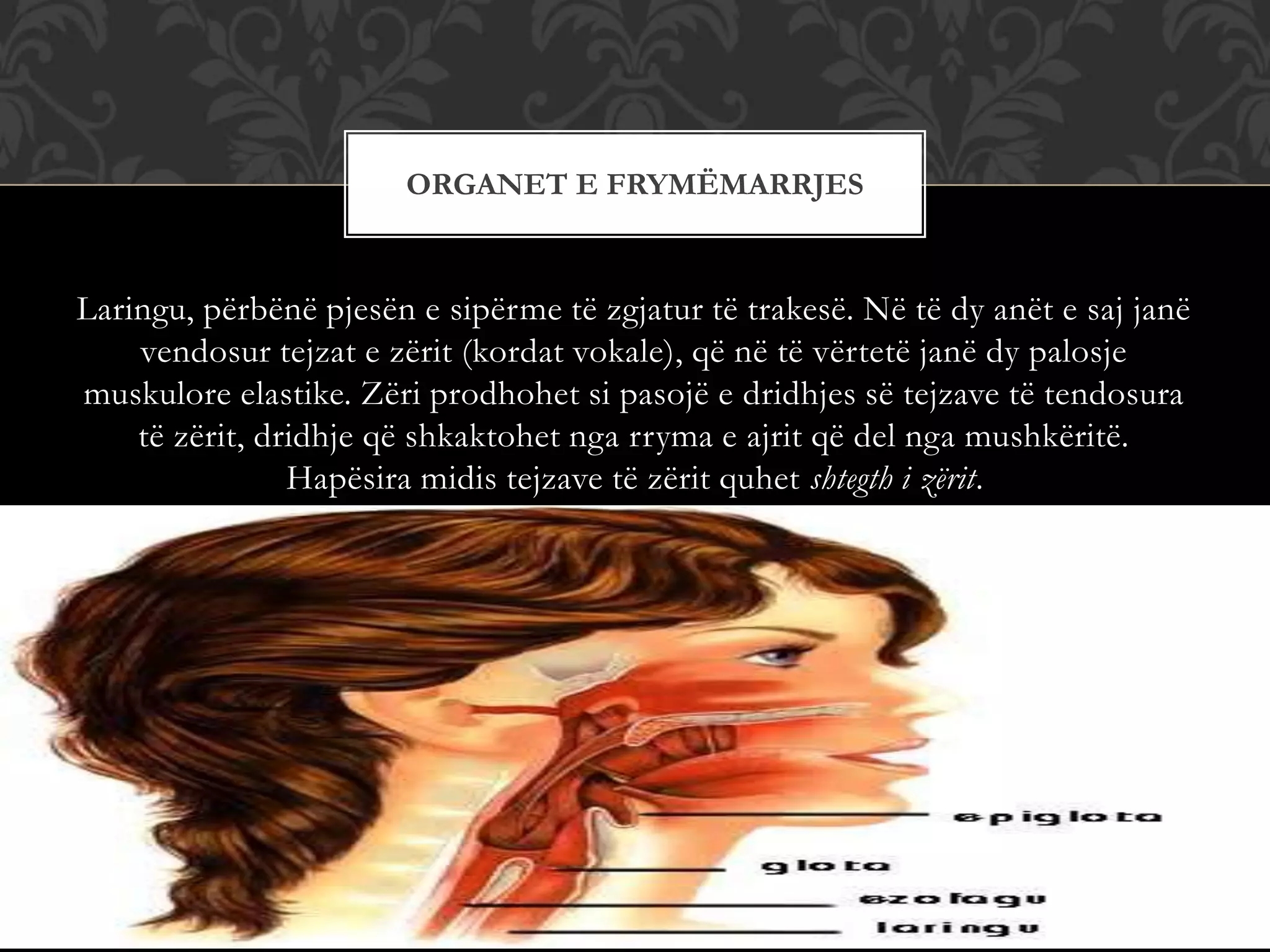 Fonetike dhe Fonologji e Shqipes | PPTX