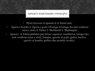 Fonetike dhe Fonologji e Shqipes | PPTX