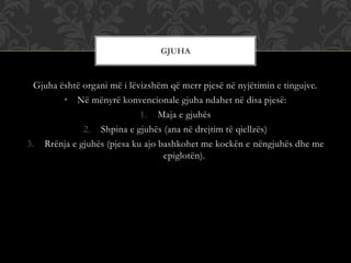 Fonetike dhe Fonologji e Shqipes | PPTX