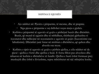 Fonetike dhe Fonologji e Shqipes | PPTX