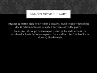 Fonetike dhe Fonologji e Shqipes | PPTX