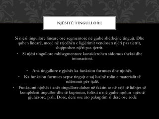 Fonetike dhe Fonologji e Shqipes | PPTX