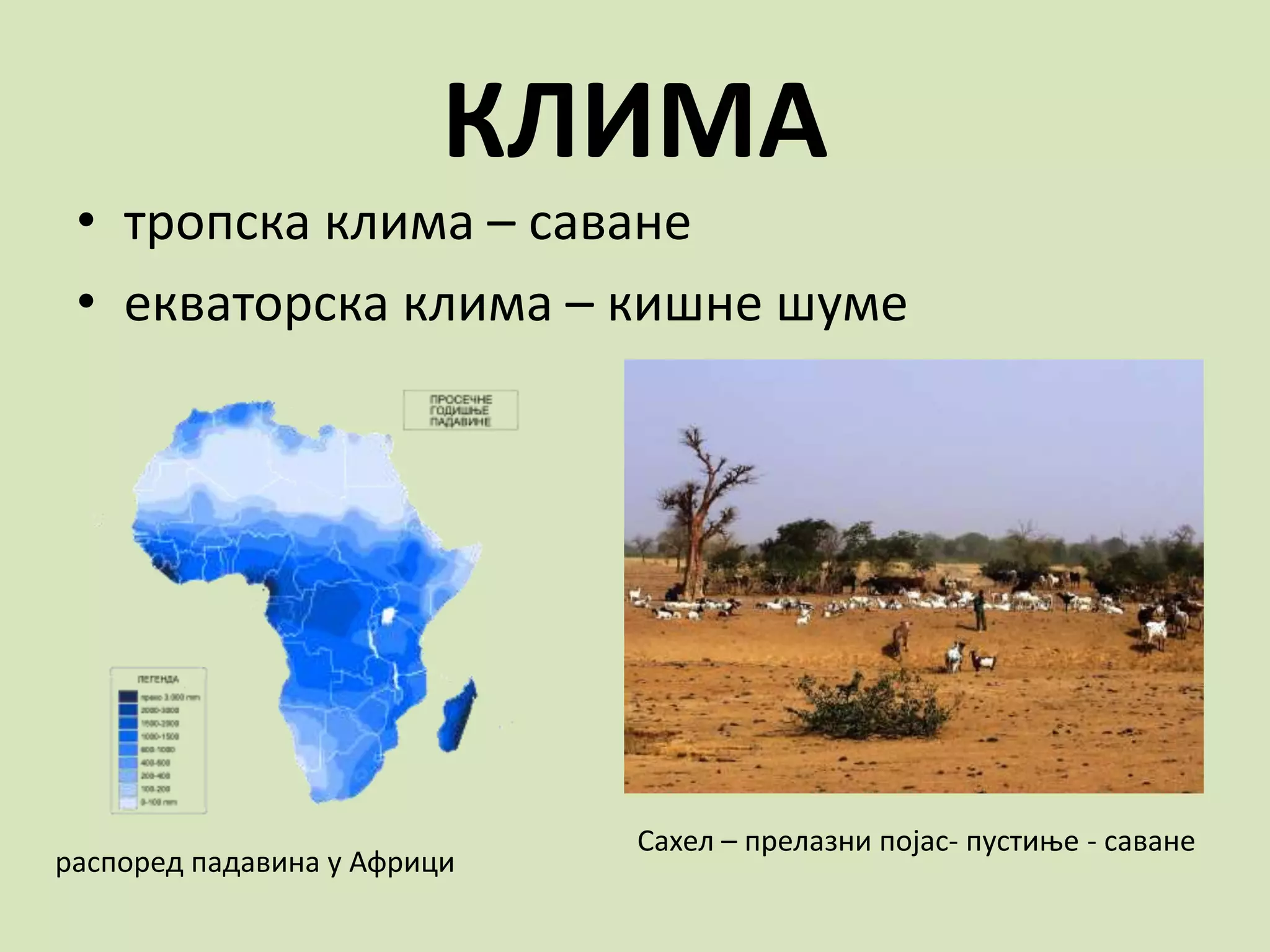 Zapadna Afrika Tanja Gagić | PPTX