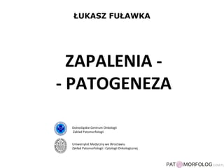 Zapalenia patogeneza | PPT