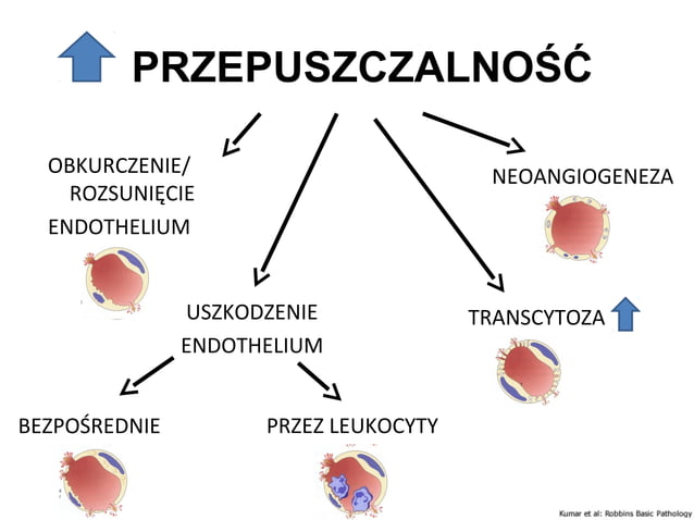 Zapalenia patogeneza | PPT