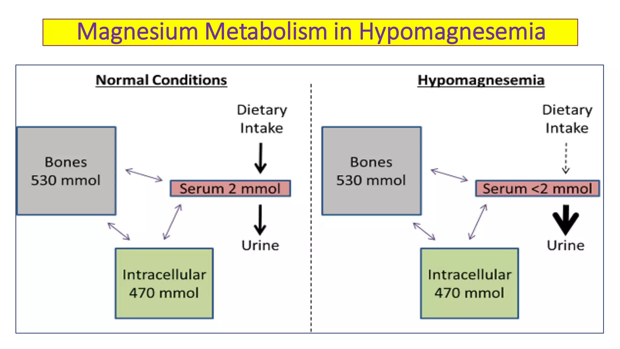 Metabolism of magnesium and its clinical significance | PDF