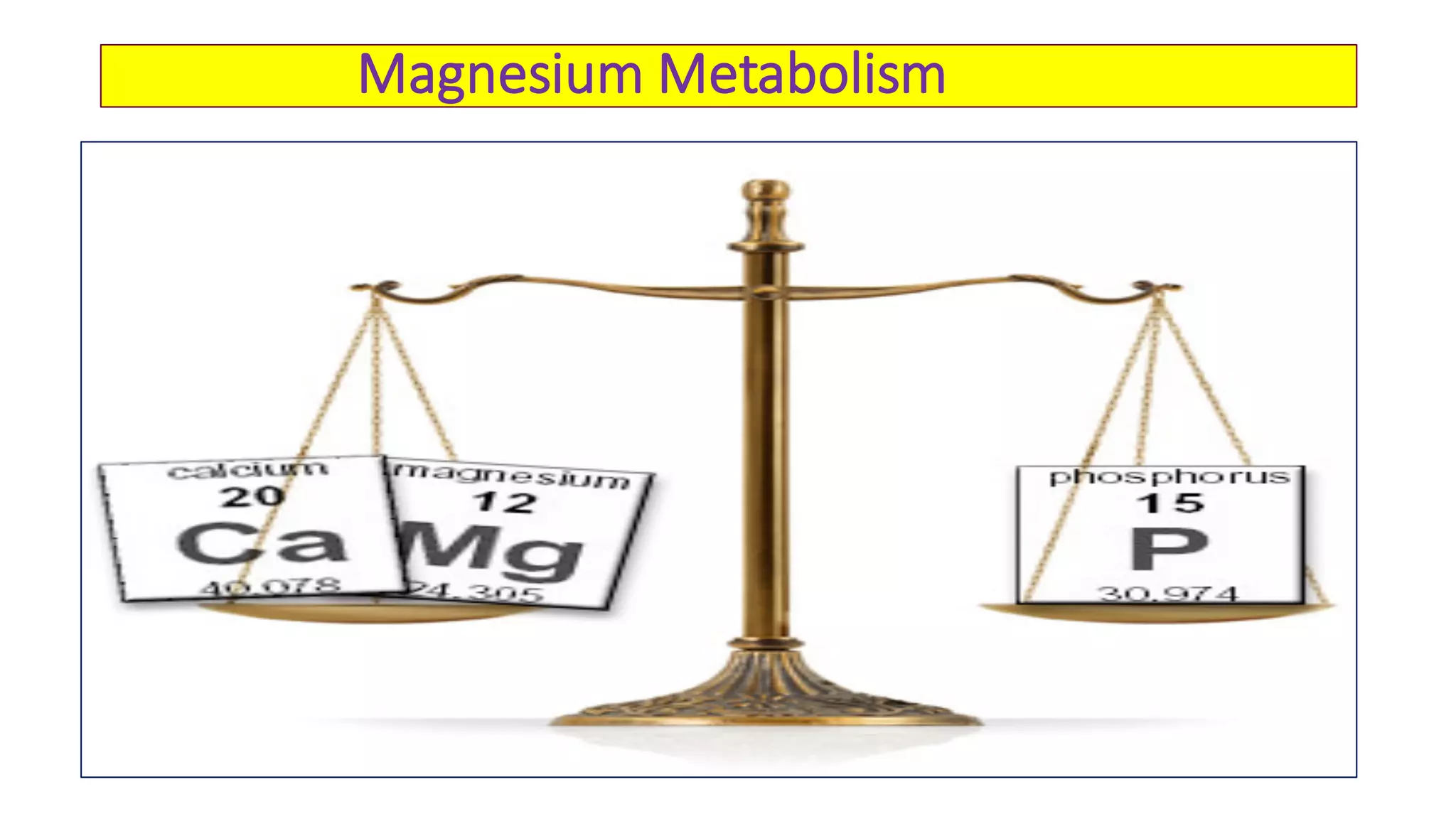 Metabolism of magnesium and its clinical significance | PDF