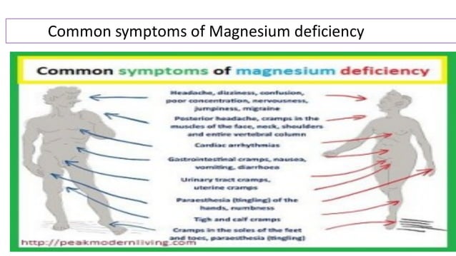 Metabolism of magnesium and its clinical significance | PDF | Chemistry ...
