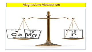 Metabolism of magnesium and its clinical significance | PDF