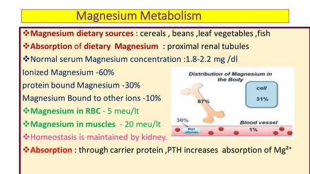 Metabolism of magnesium and its clinical significance | PDF | Chemistry ...