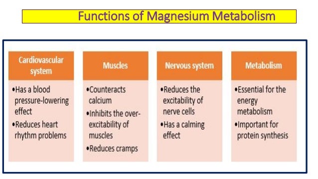 Metabolism of magnesium and its clinical significance