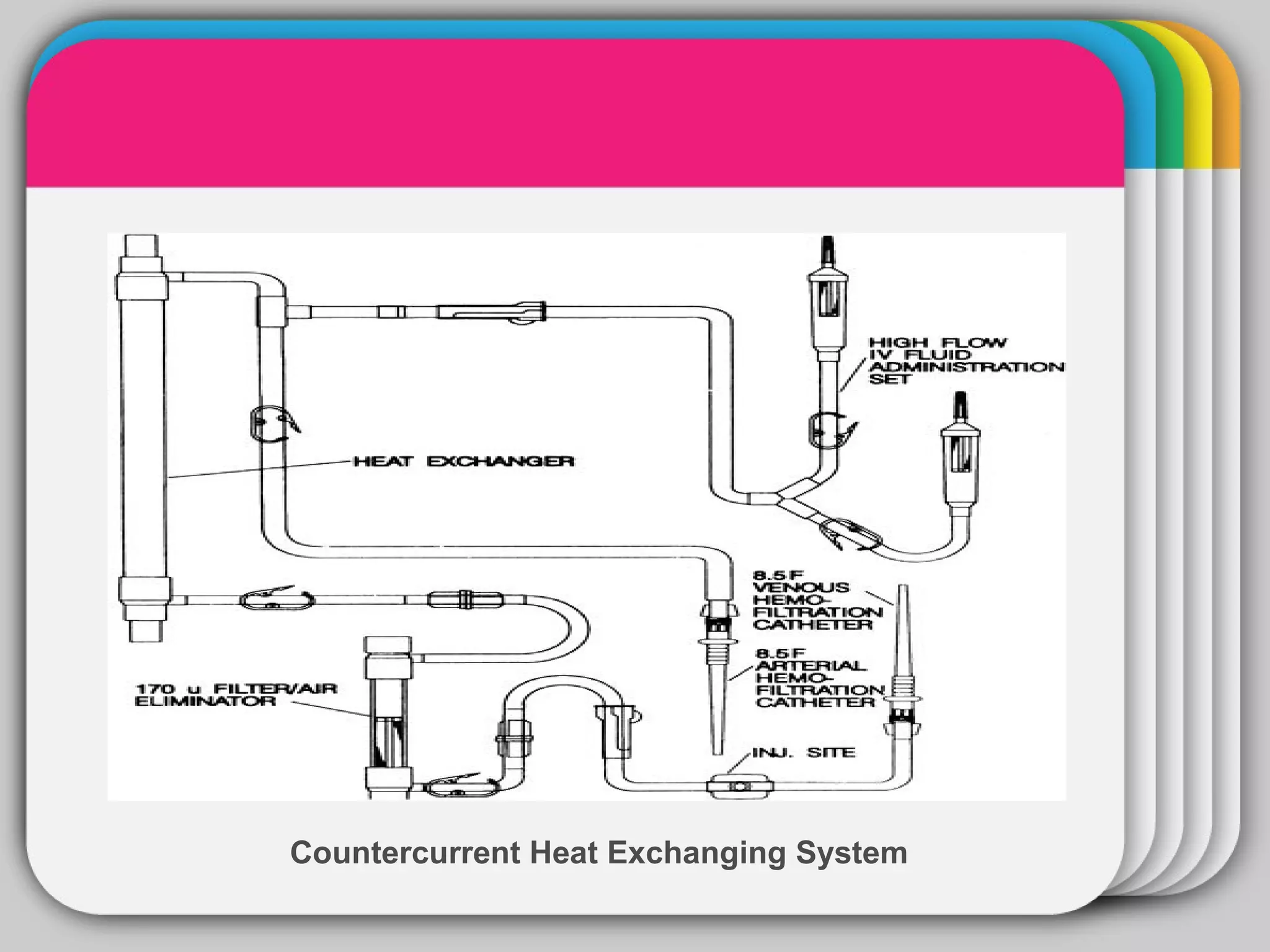 Thermoregulation: Implications of Hypothermia & Hyperthermia in ...