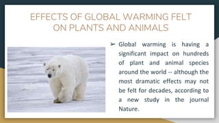 Effects Of Global Warming On Plants And Animals