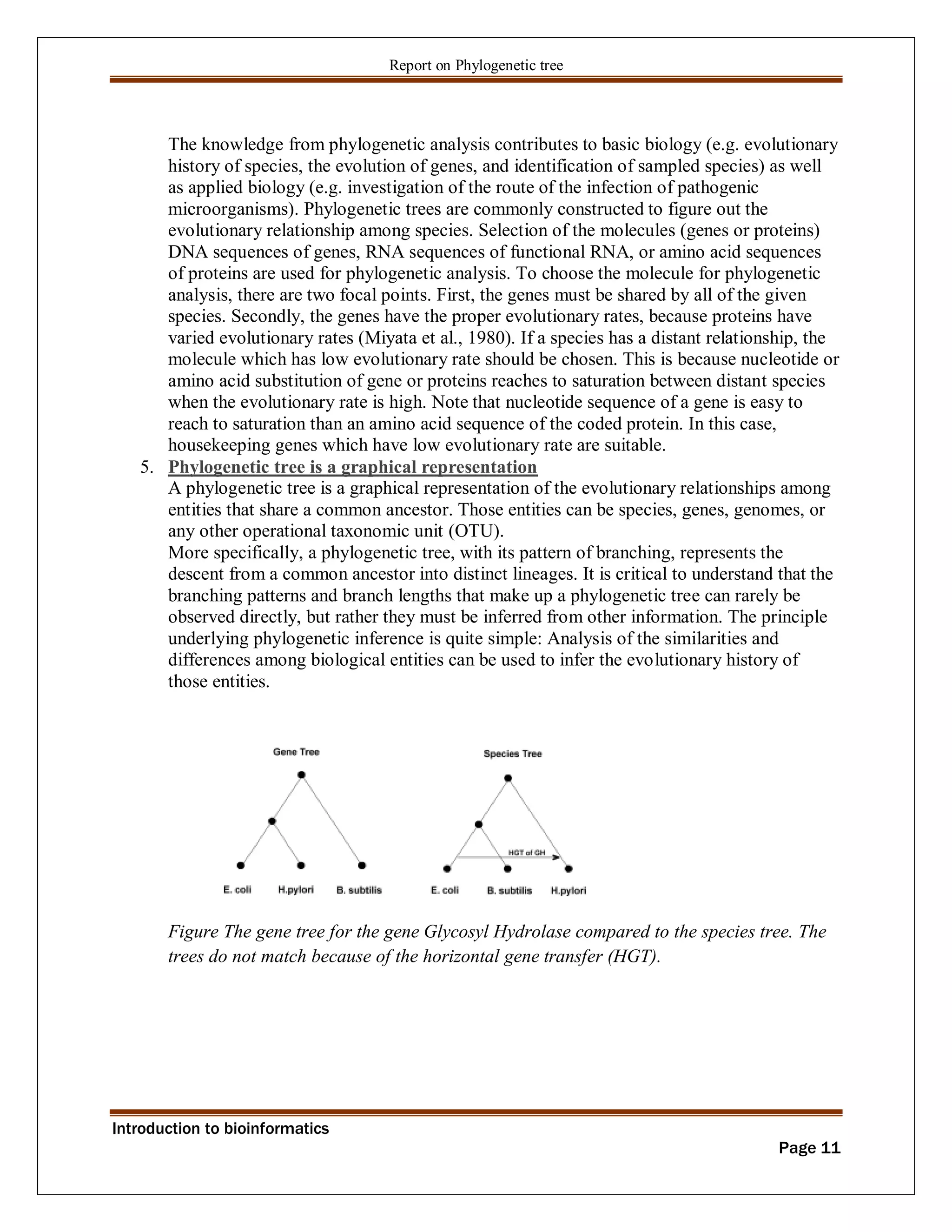 Phylogenetic tree construction using bioinformatics tools Zarlish attique 187104 | PDF
