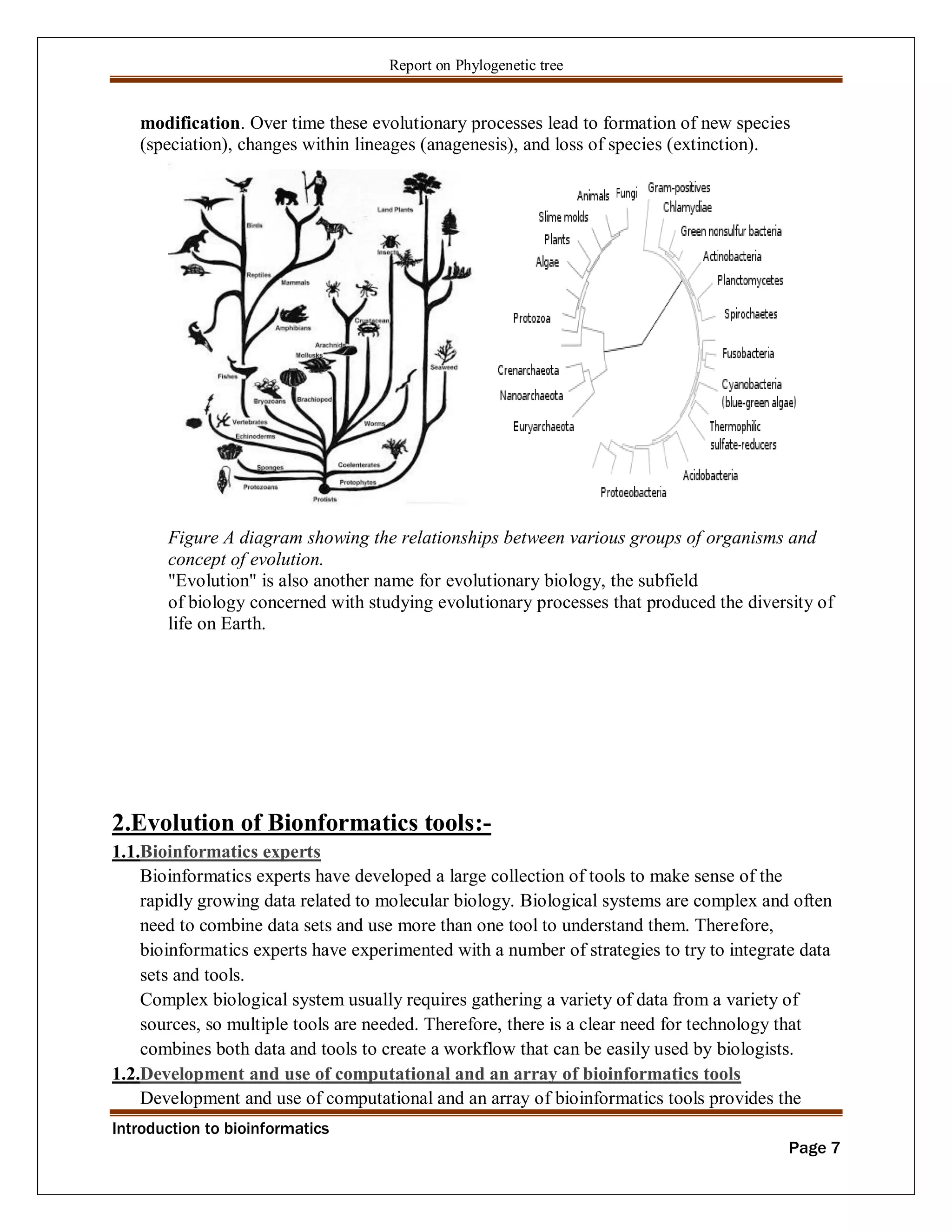 Phylogenetic tree construction using bioinformatics tools Zarlish attique 187104 | PDF