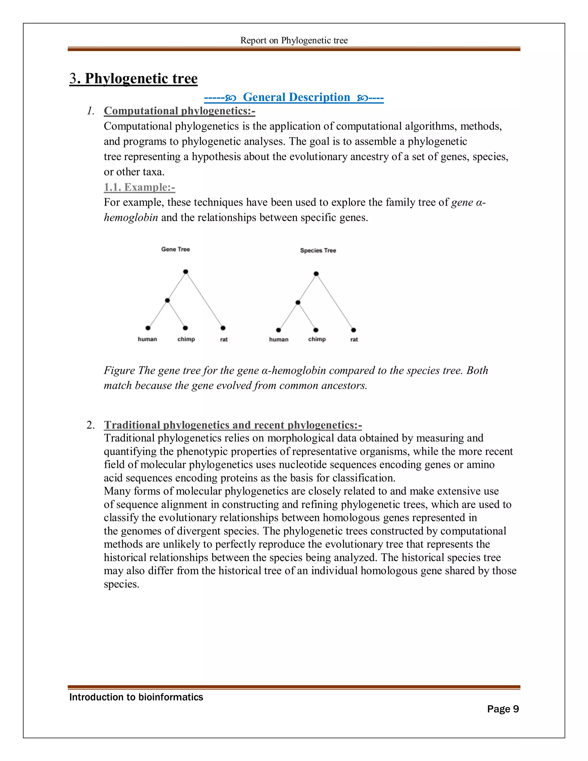 Phylogenetic tree construction using bioinformatics tools Zarlish ...