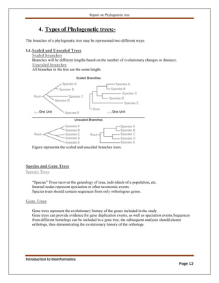 Phylogenetic tree construction using bioinformatics tools Zarlish ...