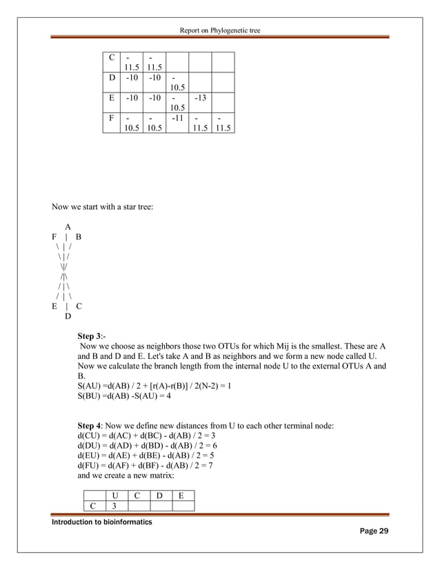 Phylogenetic tree construction using bioinformatics tools Zarlish attique 187104 | PDF